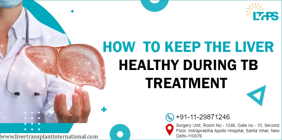 How to Keep the Liver Healthy During Tb Treatment?